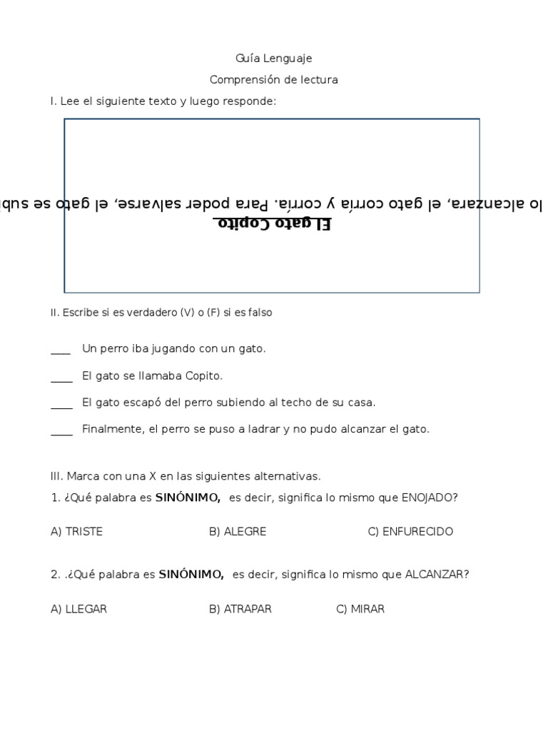 Guía Lenguaje El Gato Copito | PDF