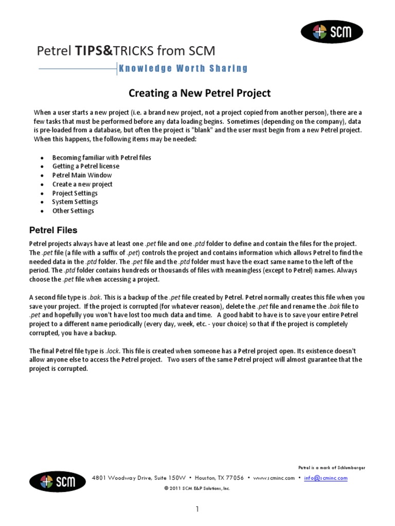 SCM Creating A New Project Petrel 2010 | PDF | Icon (Computing) | Tab (Gui)