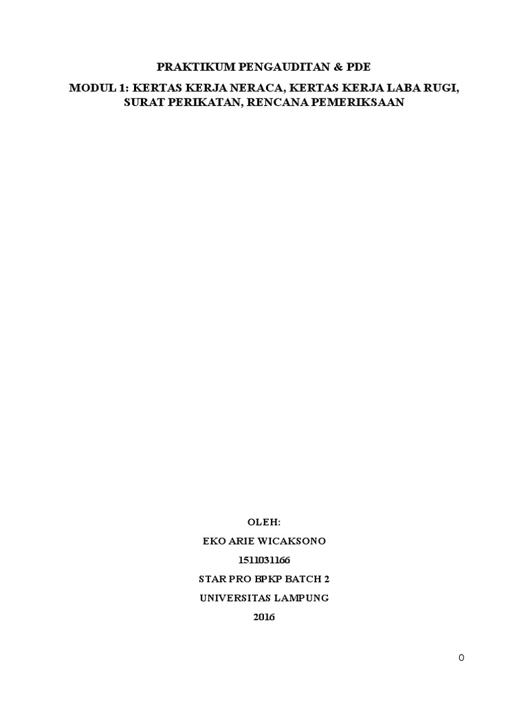 Modul Praktikum Audit & PDE | PDF | Bisnis | Pengelolaan Keuangan & Uang