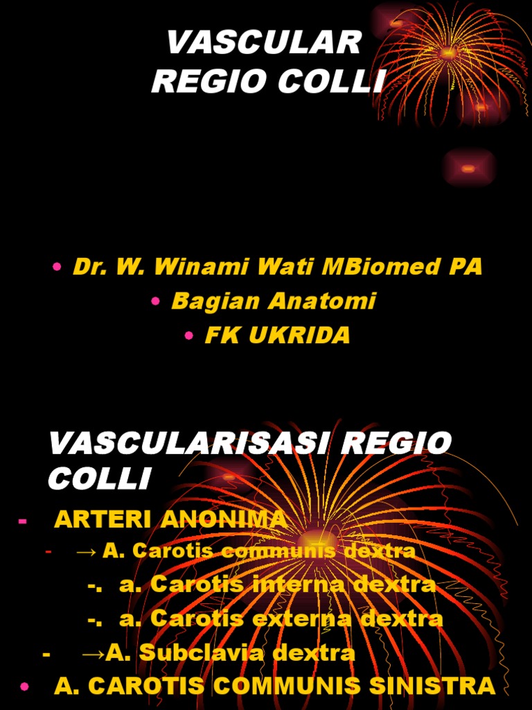 Vascular Regio Colli: Dr. W. Winami Wati Mbiomed Pa Bagian Anatomi FK ...