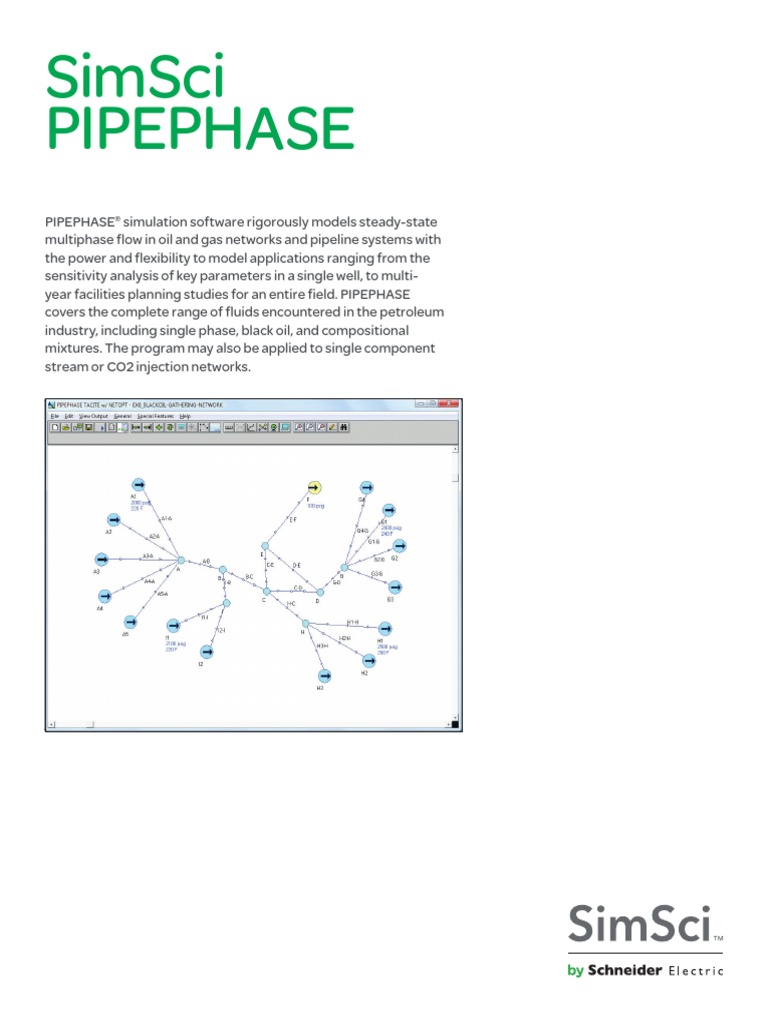 Datasheet SimSci PIPEPHASE | PDF | Simulation | Microsoft Excel
