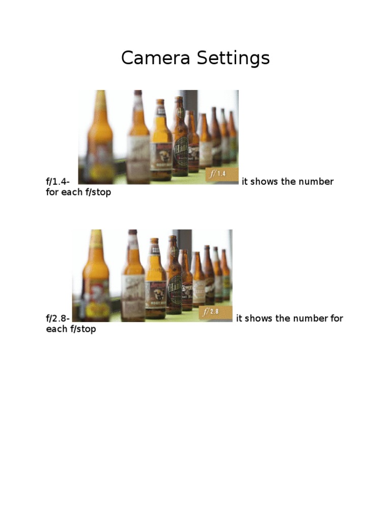 Camera Settings | PDF