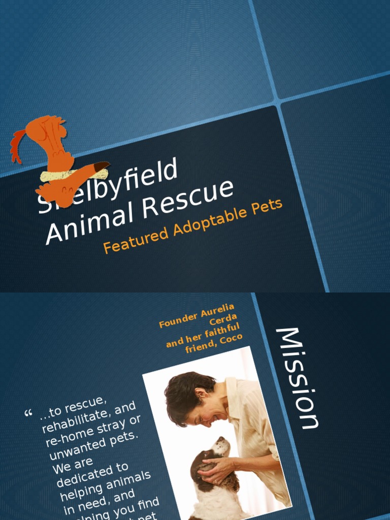 Example Self-Check Task 1 | PDF | Lifestyle