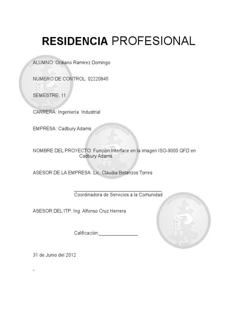 Reporte Final Residencia Profesional | PDF