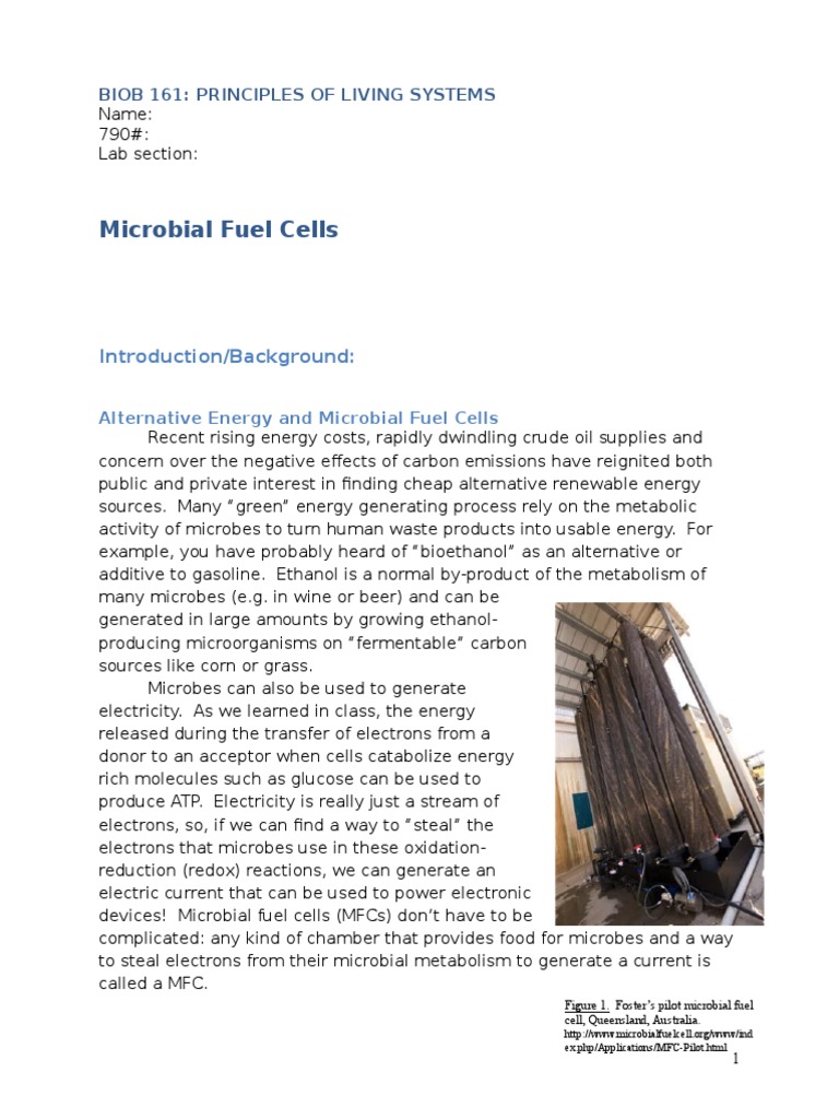 Microbial Fuel Cells Lab Guide | PDF | Redox | Chemistry