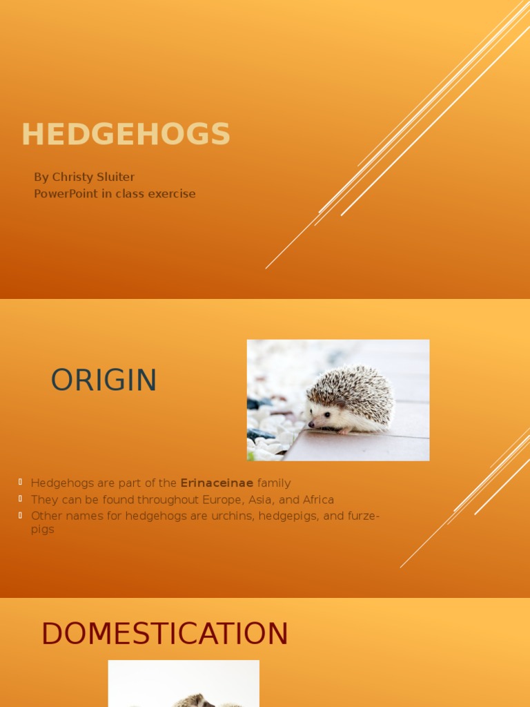 Caring for Pet Hedgehogs | PDF | Wellness | Science & Mathematics