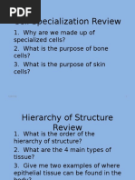 Kitty Magic | PDF | Anesthesia | Surgery