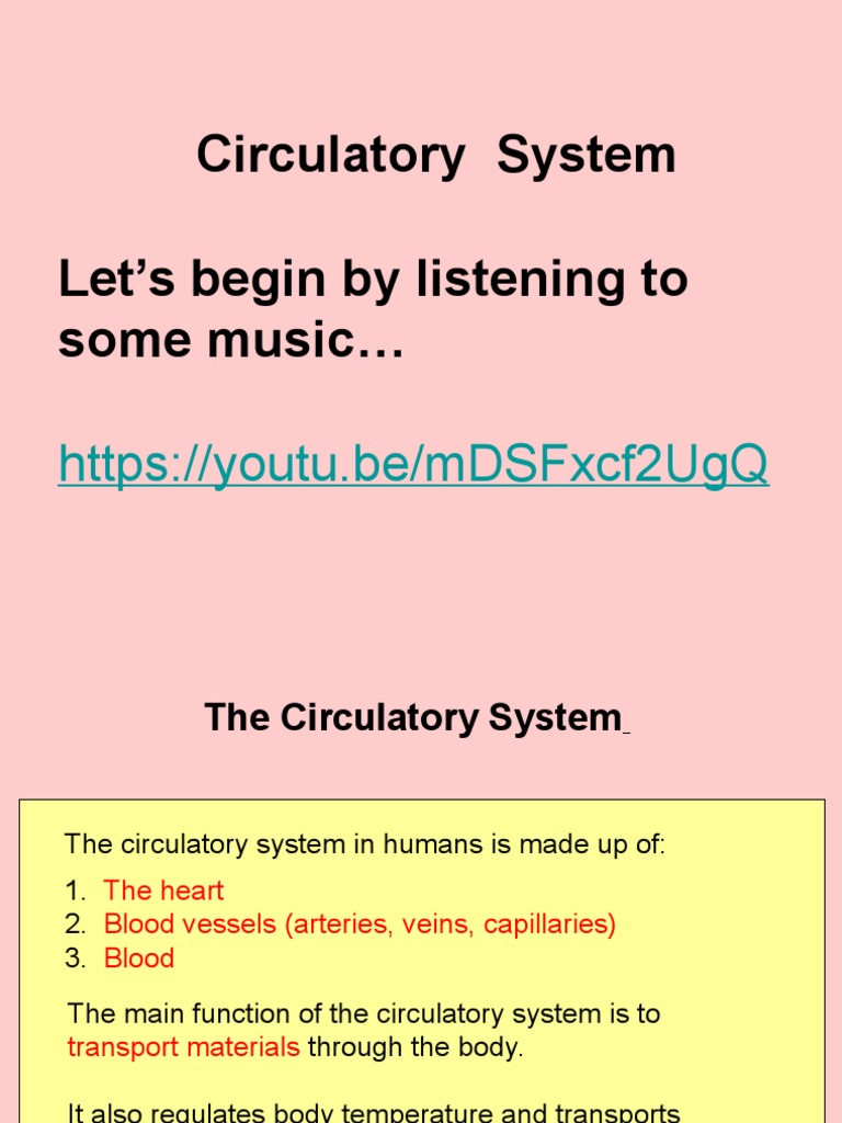 Lesson 4 - Circulatory System | PDF | Heart | Heart Valve