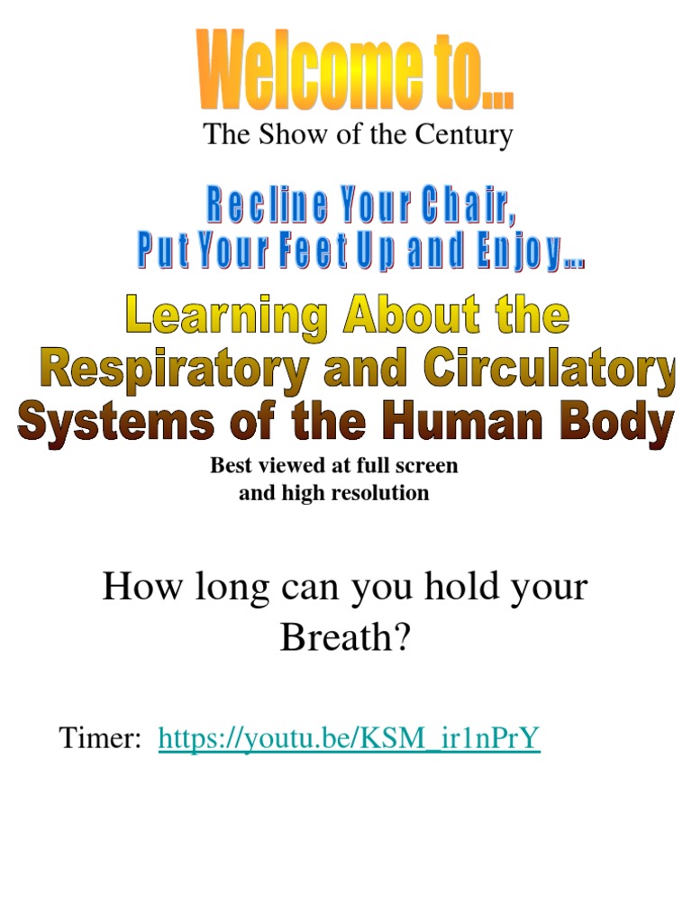 Lesson 5 - Respiratory System | PDF | Respiratory System | Lung