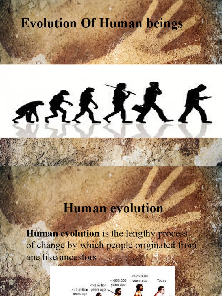 Evolution of Human Beings | PDF