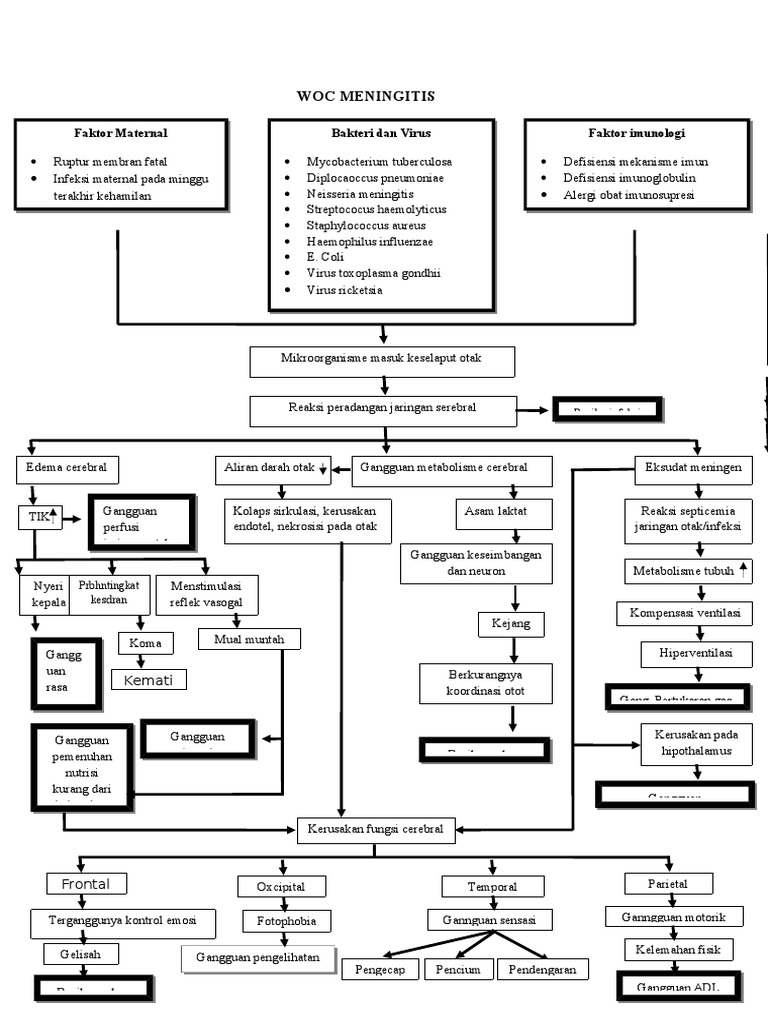 Woc Meningitis | PDF