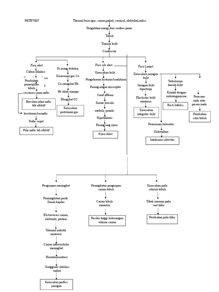 PATHWAY LUKA BAKAR.doc