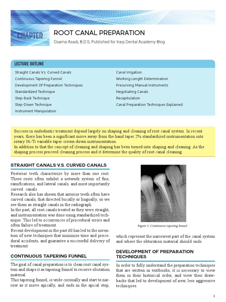 Root Canal Preparation Lecture | PDF | Dentistry | Mouth
