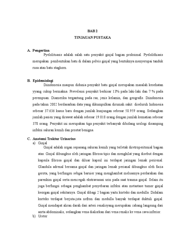 PYELOLITHIASIS Kasus | PDF