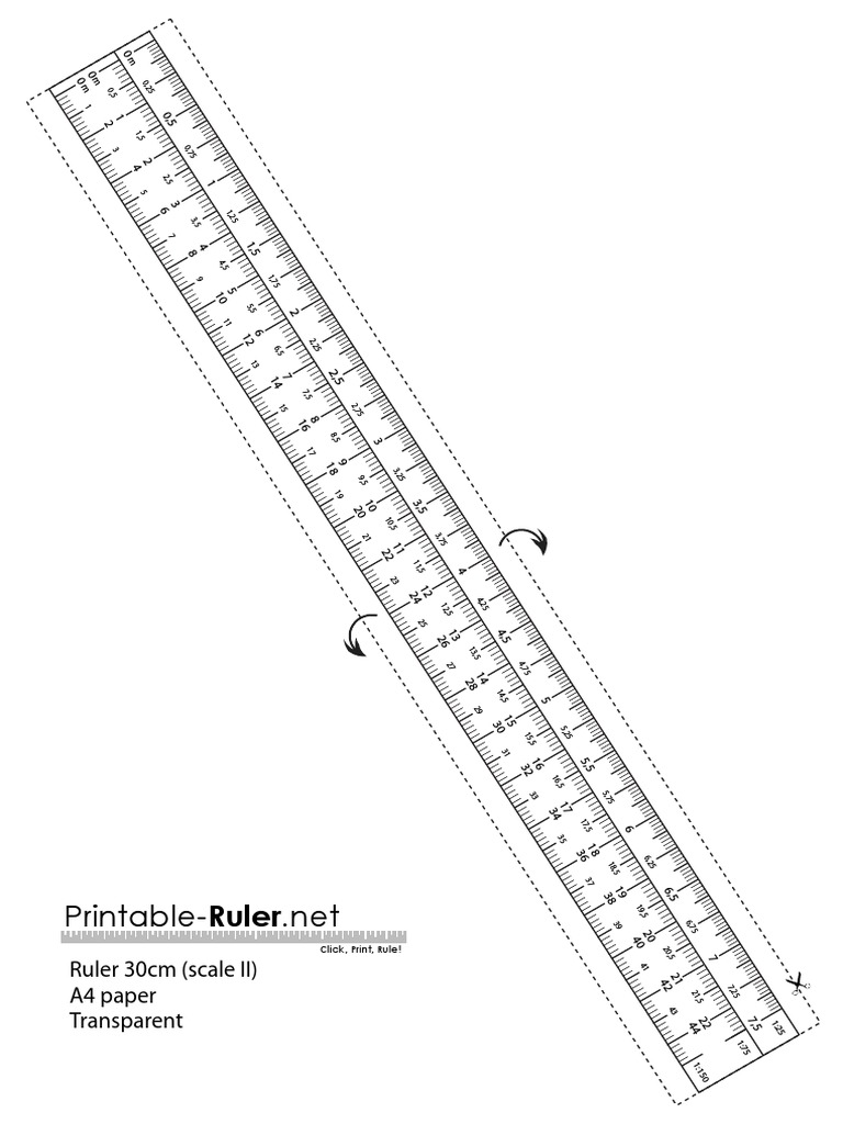 Ruler 30cm Scale2 A4 Transparent | PDF