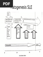 RAPA Questionnaire | PDF | Flexibility (Anatomy) | Physical Exercise