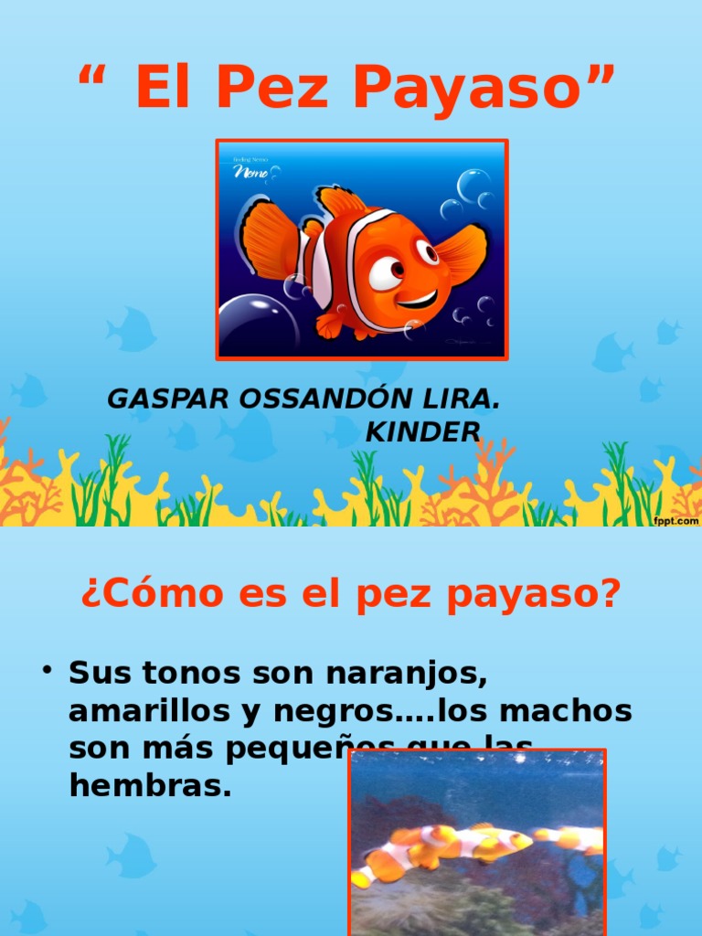 Pez Payaso Gaspar Ossandón, Kínder | PDF