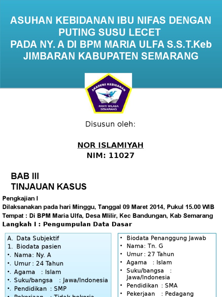 Asuhan Kebidanan Ibu Nifas Dengan Puting Susu Lecet | PDF