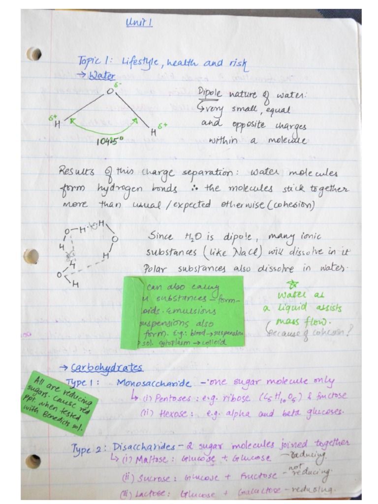 Edexcel Biology Unit 1 Notes | PDF