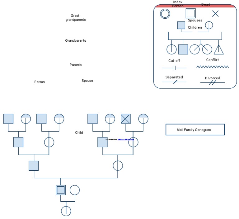 Genogram Template 1 | PDF