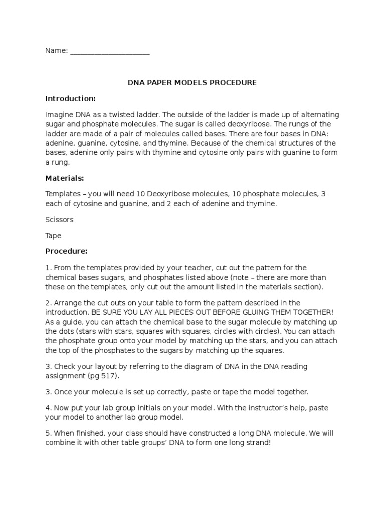 DNA Paper Model Activity Guide | PDF | Nucleotides | Dna