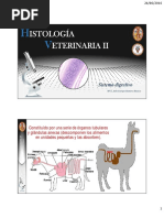 Anatomia y Fisiologia Del Pollo | PDF | Pollo | Anatomia animal
