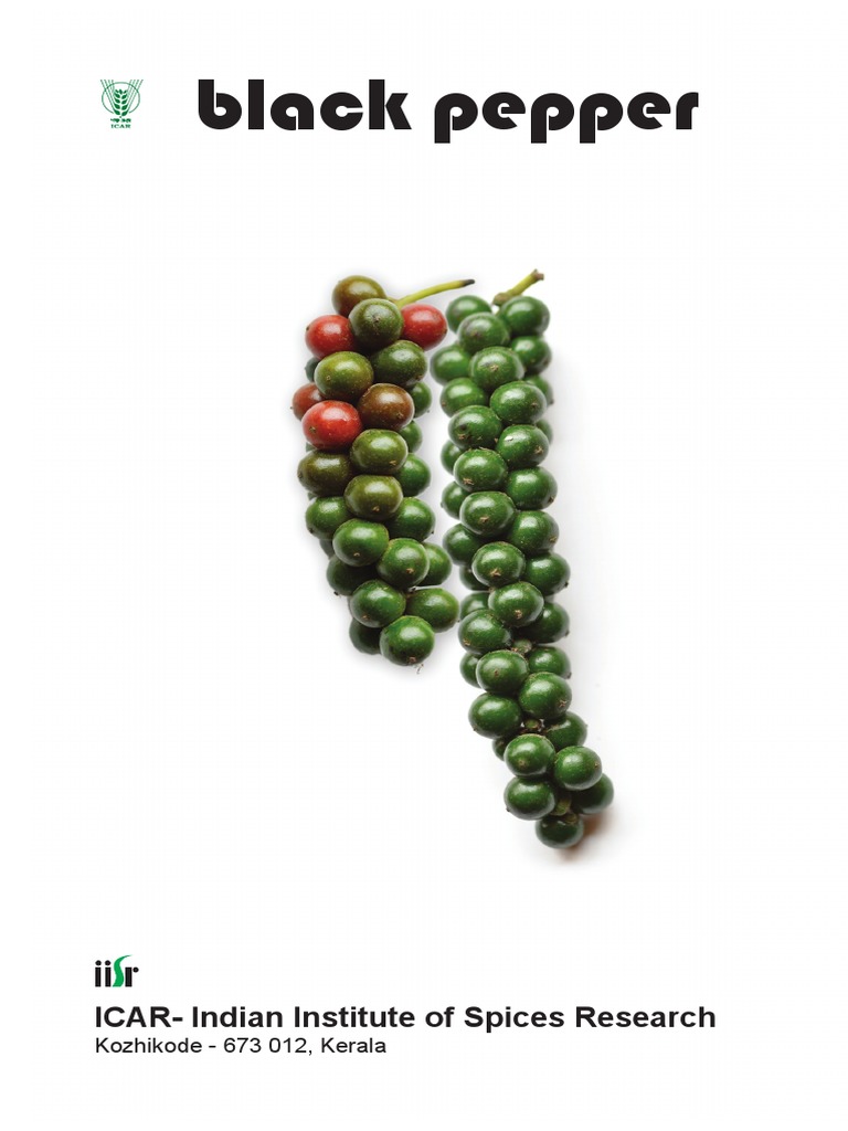 Pepper PDF | PDF