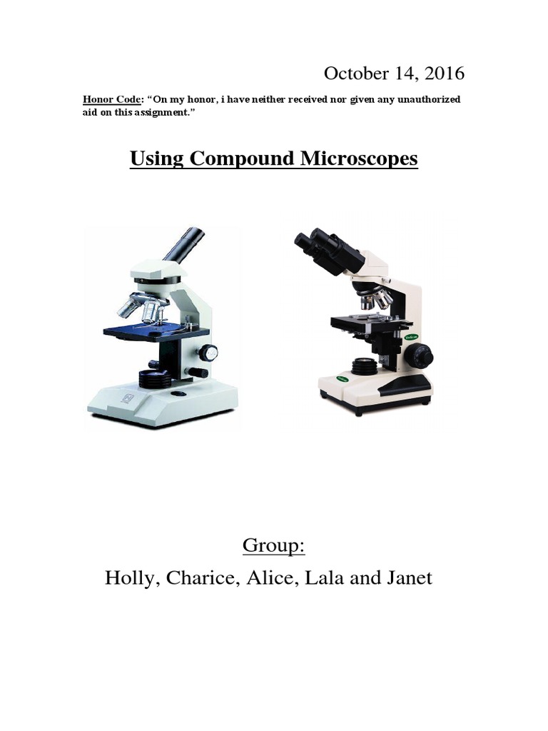 Lab Report | PDF | Microscope | Electron Microscope