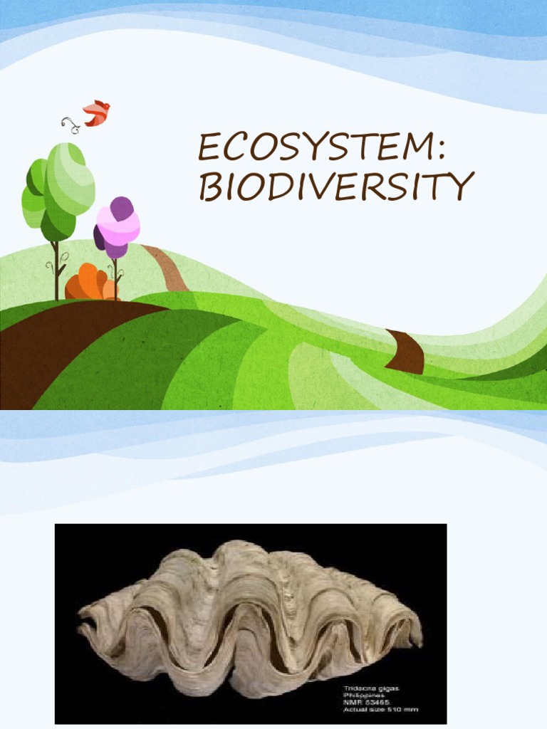 Ecosystem | PDF | Biodiversity | Human Impact On The Environment