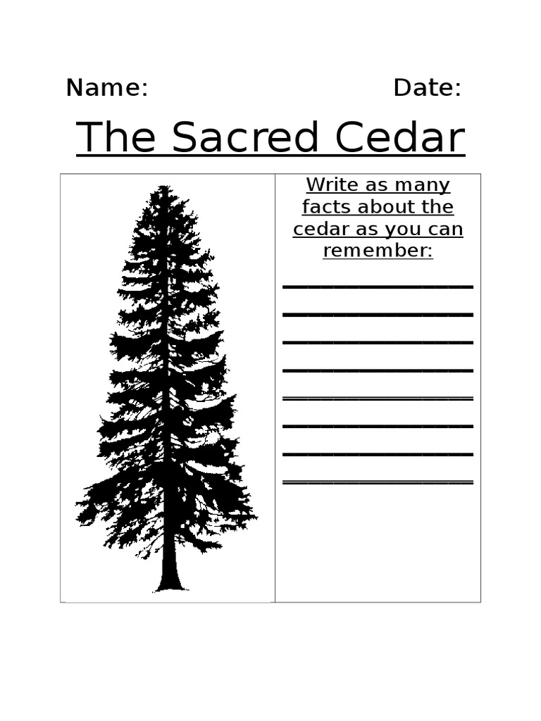 Sacred Cedar Handout | PDF