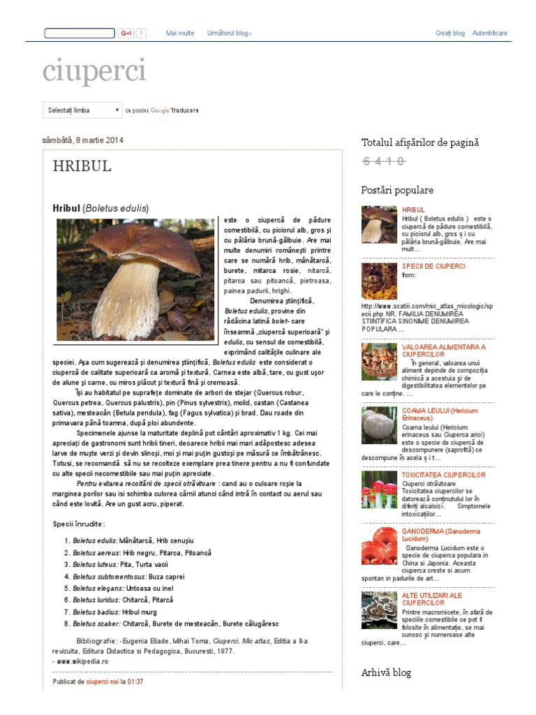 Ciuperci - HRIBUL | PDF