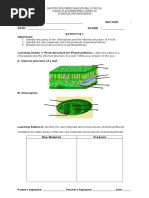 Science - G9 - Week 7 (Lessons 19-20) | PDF | Cellular Respiration ...