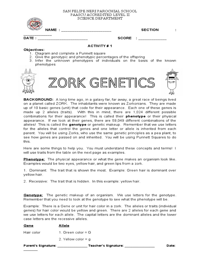 Actvity Sheets Genetics | PDF | Allele | Dominance (Genetics)