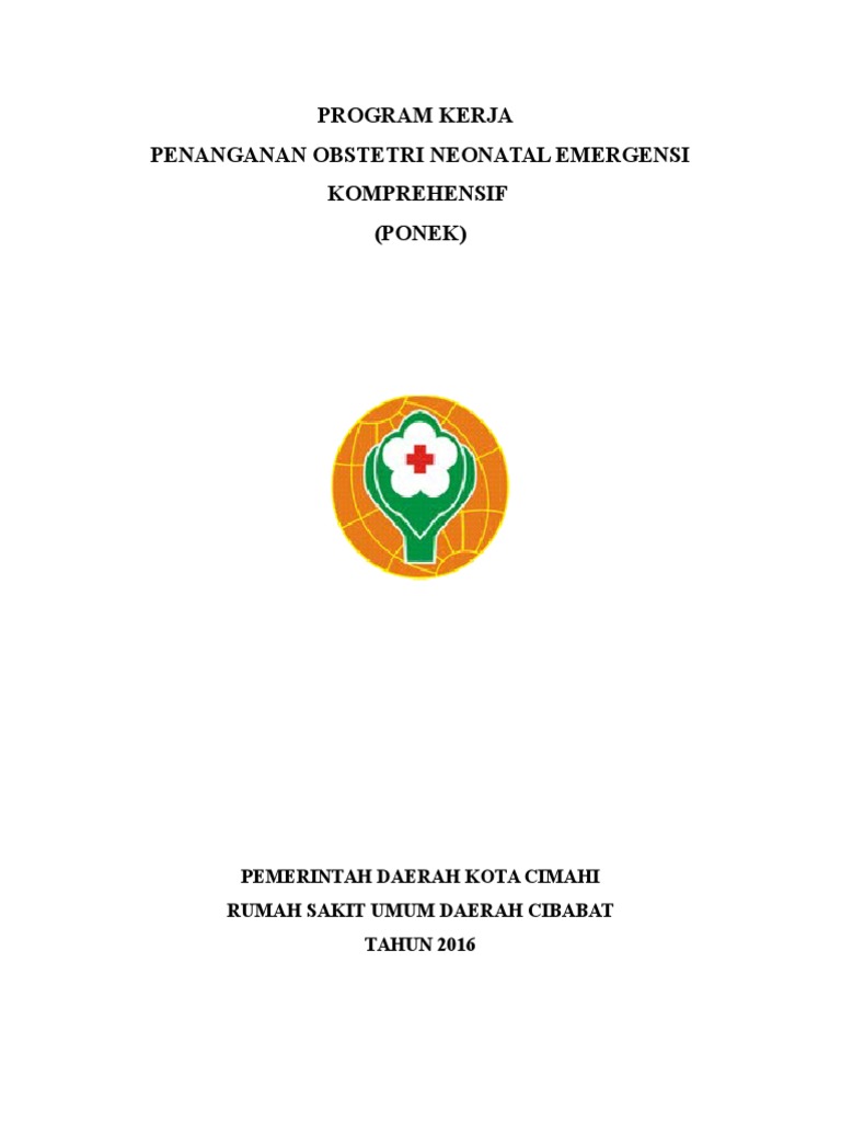 Program Ponek Cibabat | PDF