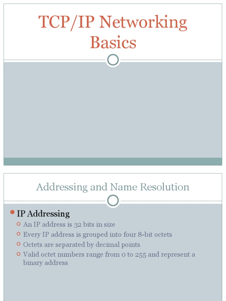 TCP-IP Networking Basics | PDF | Ip Address | Domain Name System