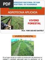 Estructura de Un Vivero Temporal y Permanente | PDF | Clima | Riego