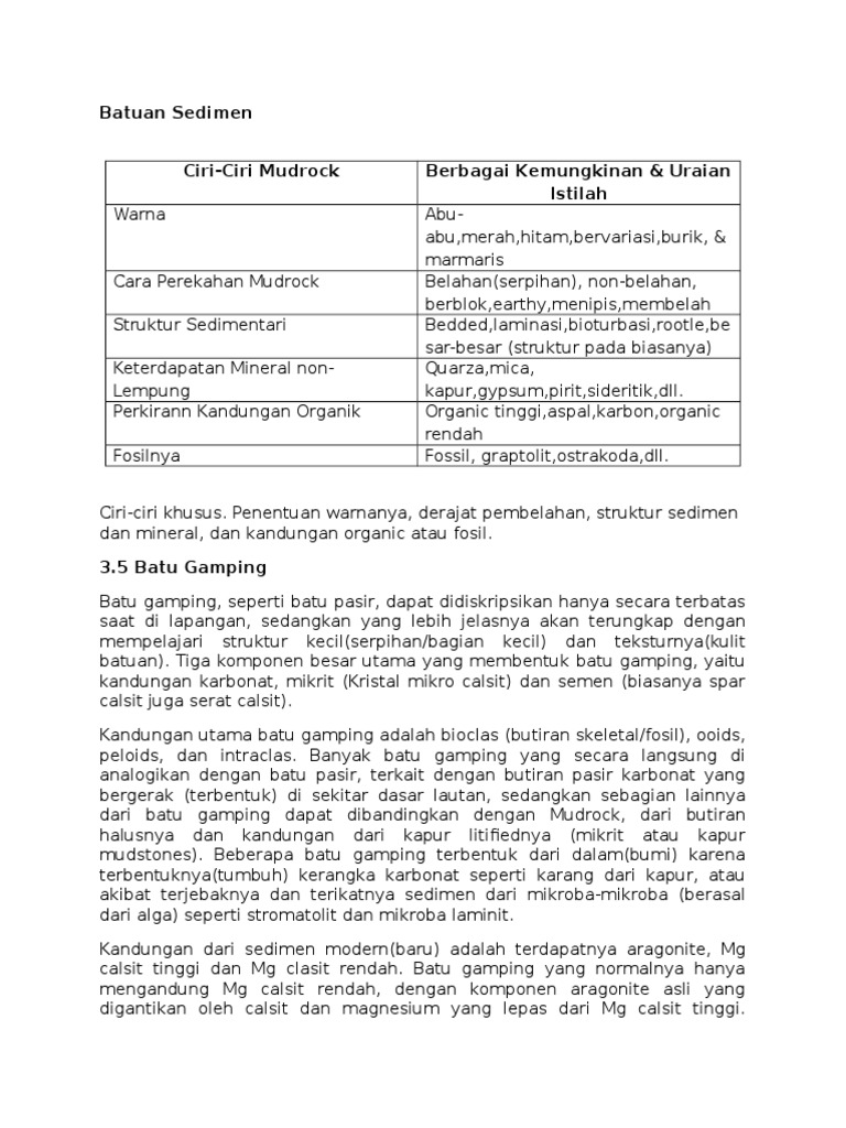 Ciri-Ciri Batu Sedimen dan Bioturbasi | PDF