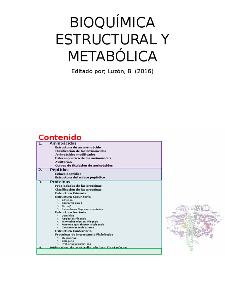 Bioquimica Estructural y Metabólica | PDF | Péptido | Chiralidad (Química)