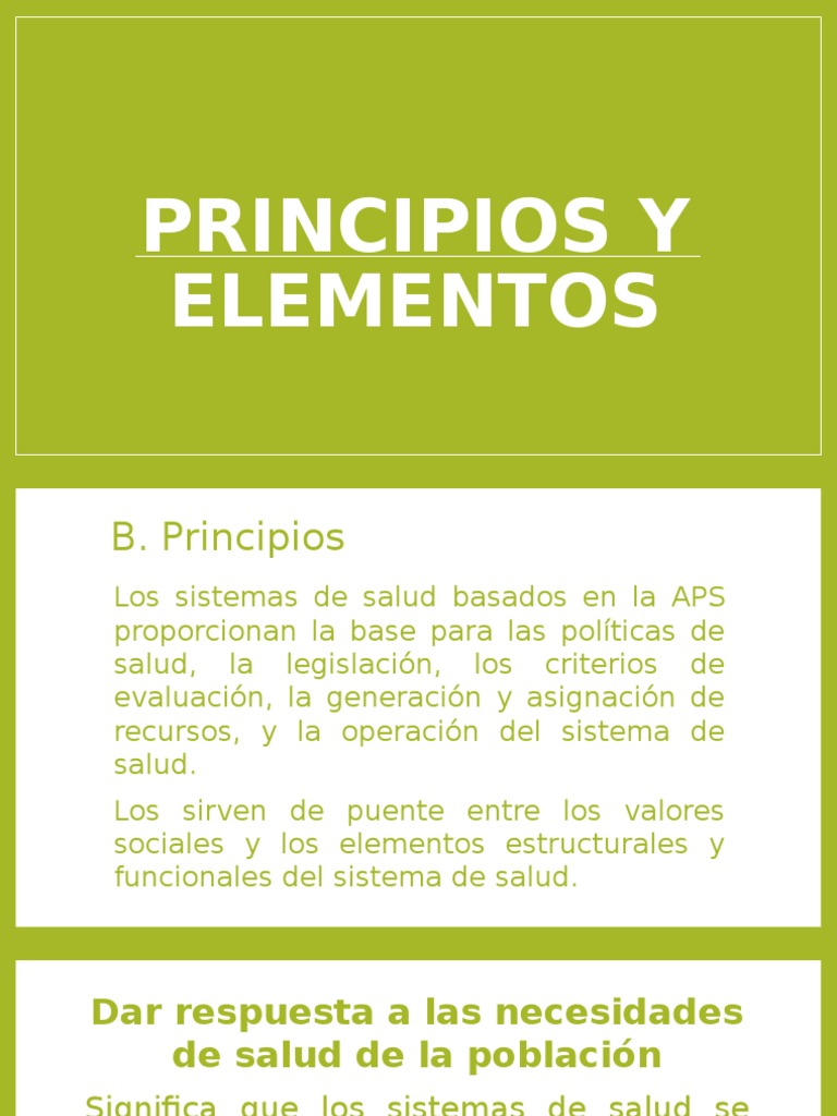 Principios Y ELEMENTOS Aps Renovada | Sistema de salud | Toma de decisiones | Prueba gratuita de ...