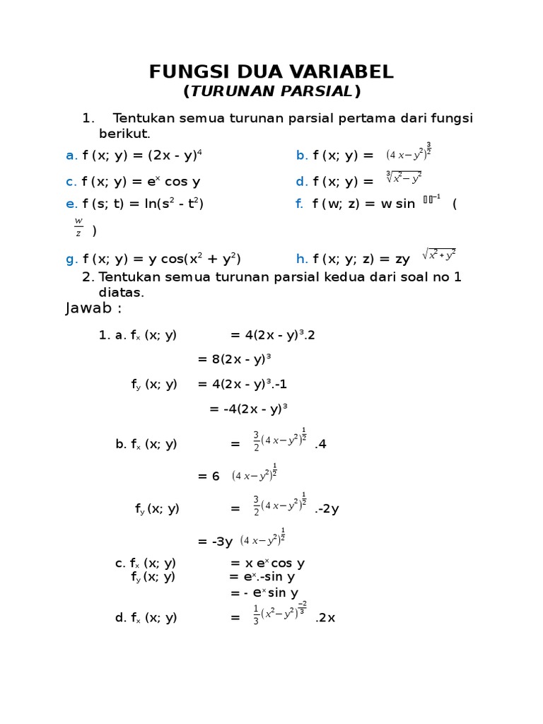 Fungsi Dua Variabel | PDF