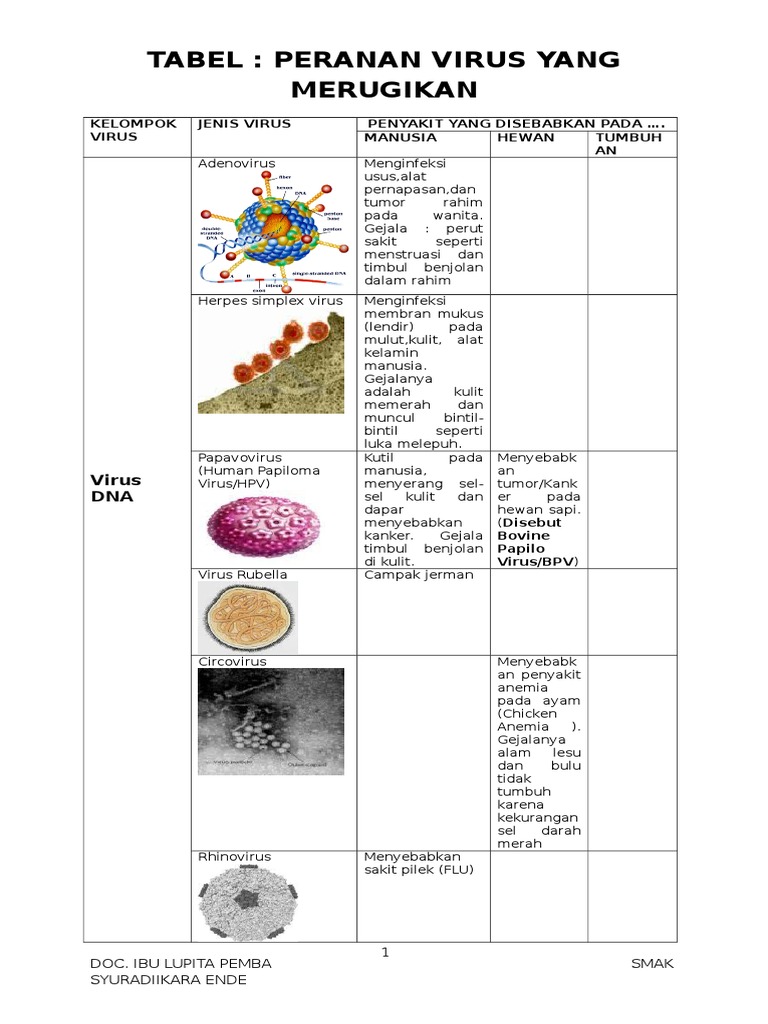 Peranan Virus Dalam Kehidupan | PDF