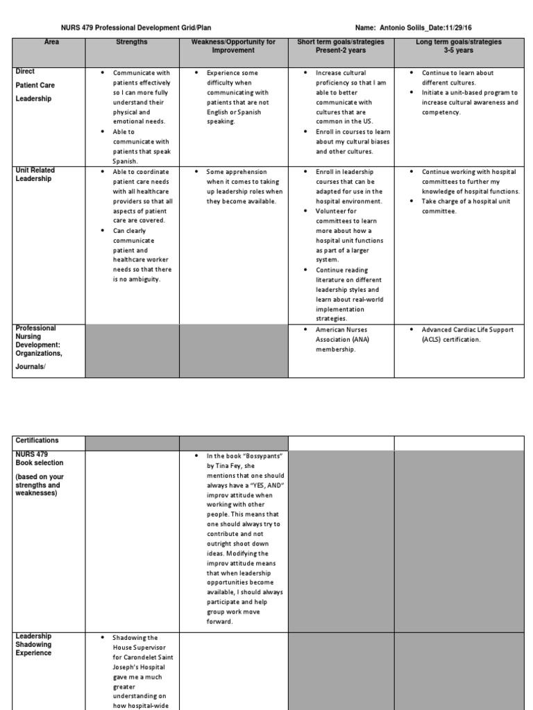 Professional Development Grid | PDF | Leadership | Nursing