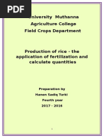 Rice Growth Stages Overview | PDF | Seedling | Seed