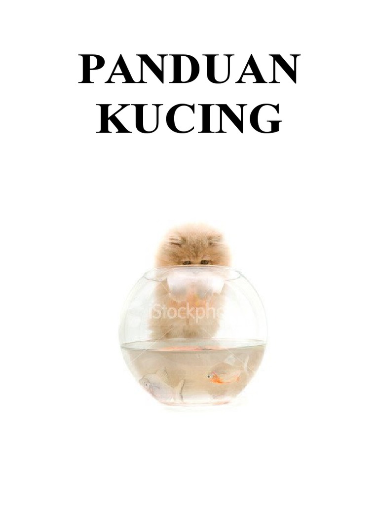 Panduan Kucing | PDF