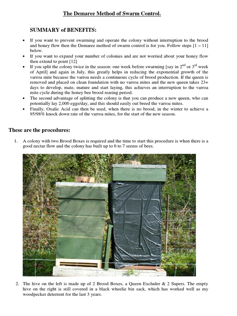 Demaree Method of Swarm Control | PDF | Honey Bee | Insects