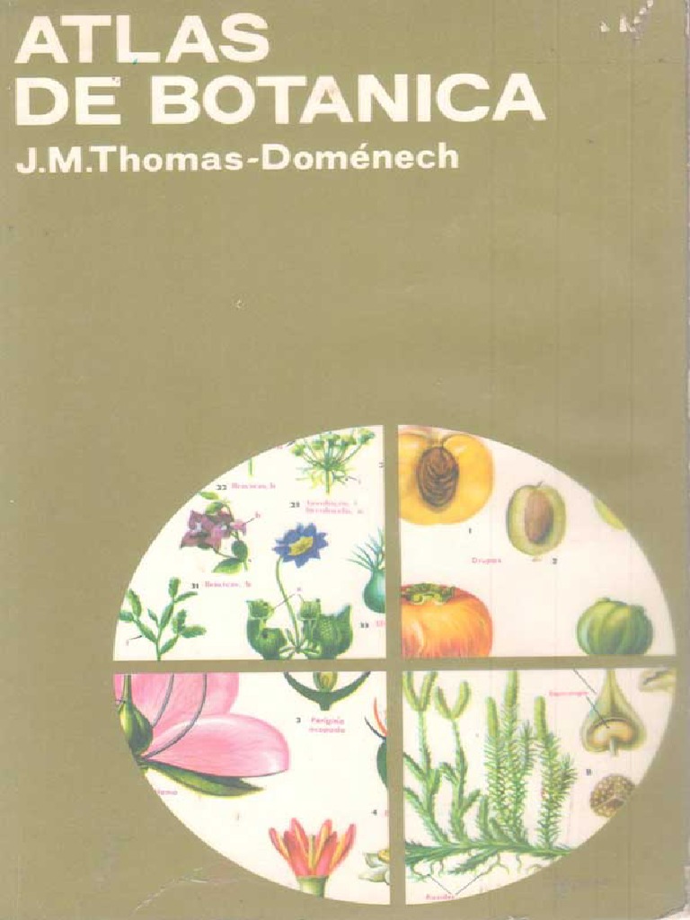 Atlas de Botanica PDF | PDF