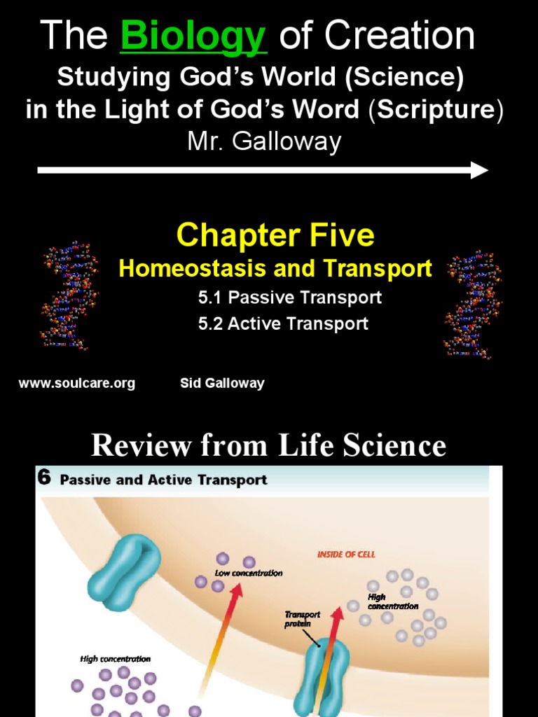 Biology: Studying God's World (Science) in The Light of God's Word ...