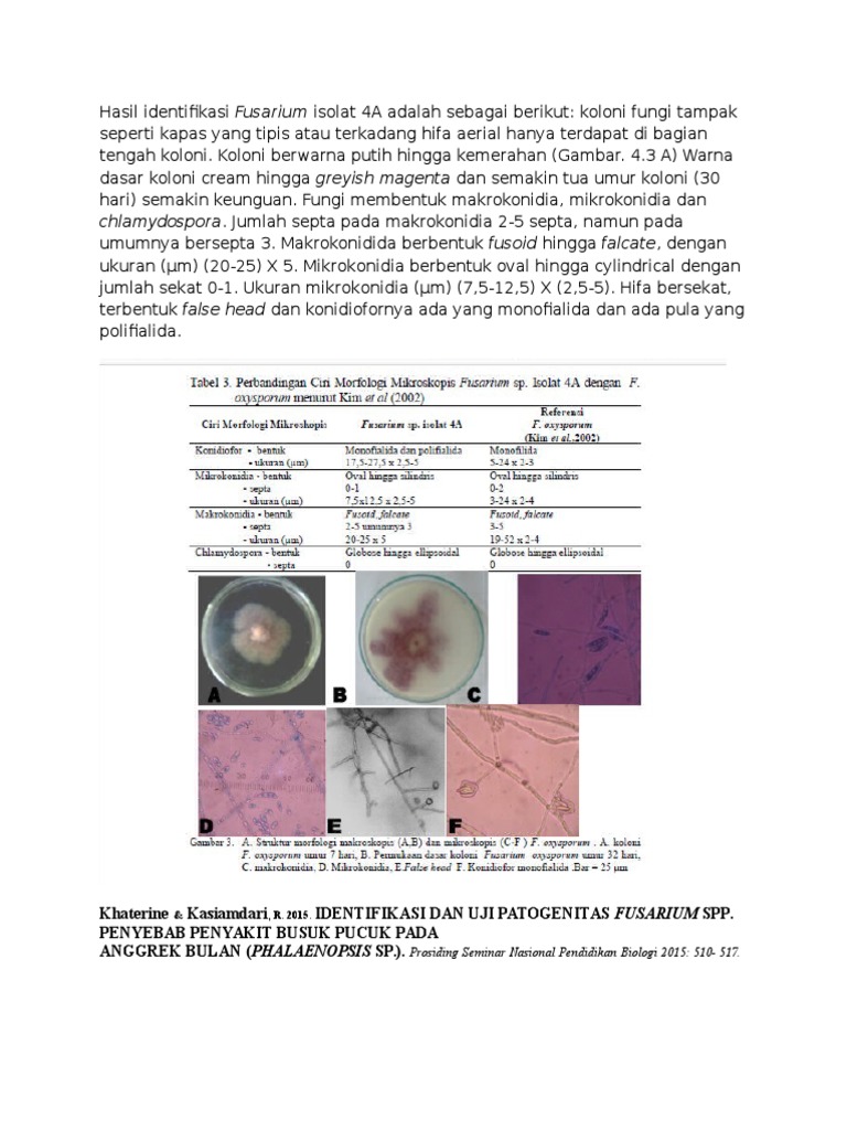 Teori Slide Culture | PDF | Griya & Taman