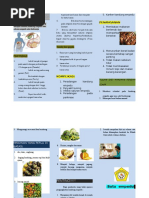 Leaflet Diet Rendah Lemak Dan Kolesterol | PDF