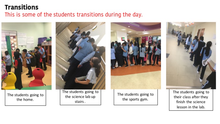 Transition | PDF | Science & Mathematics